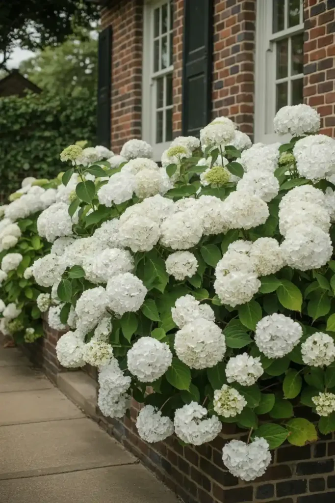 17 Hydrangea Garden Front Yard Ideas for Major Curb Appeal - ComfortlyDecor